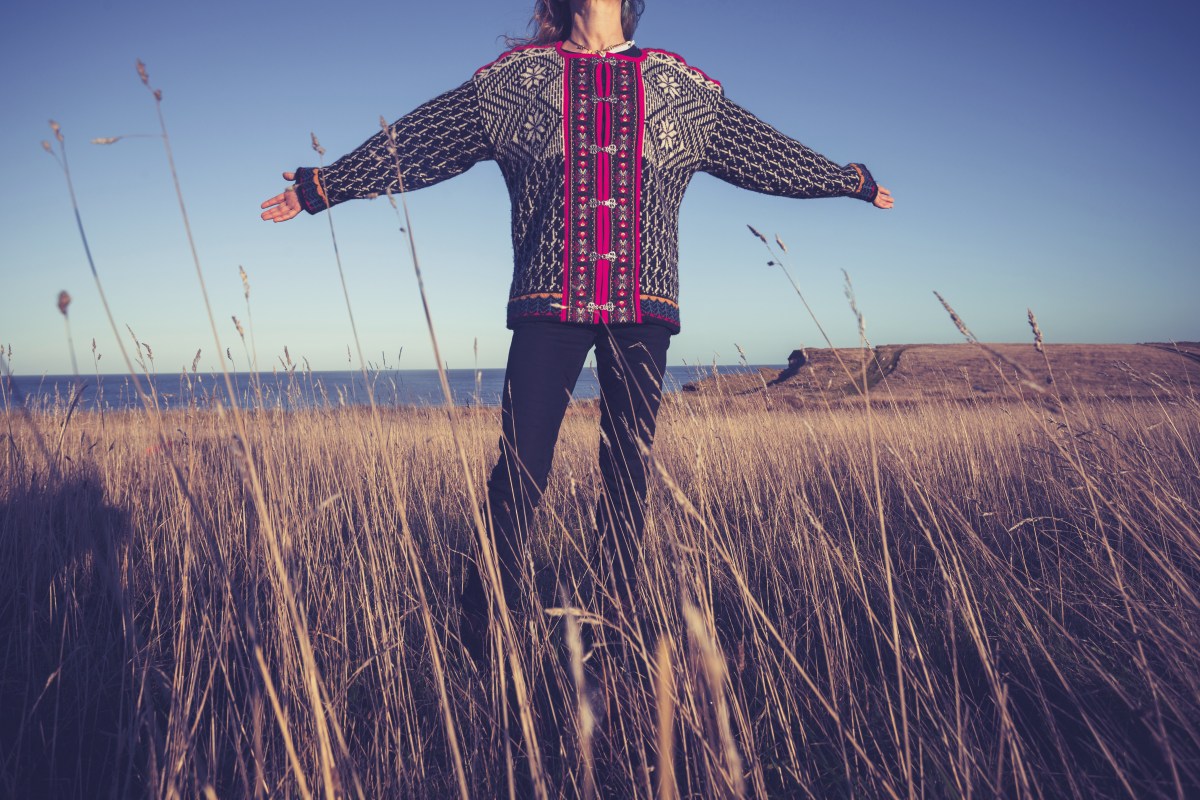 True North: Guidelines para Uma Liderança com Propósito – VantagemBlog.com